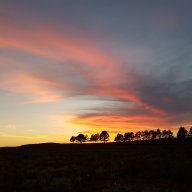 Fault Code 01316 - ABS Control Module | VW California Owners Club