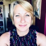 Travelling with dog | VW California Owners Club